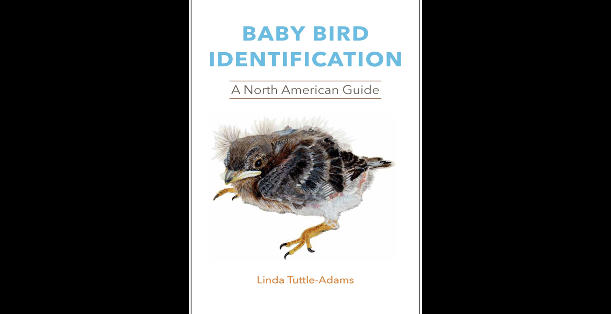 Baby Bird Identification: A North American Guide–A Book Review - 10,000 ...