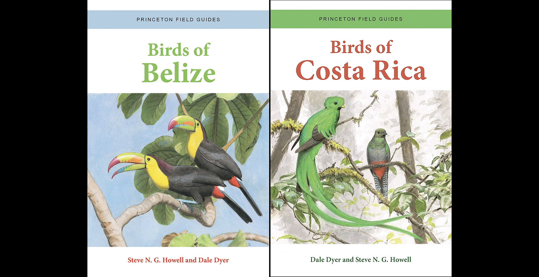 Birds of Belize & Birds of Costa Rica: A Field Guide Review ...