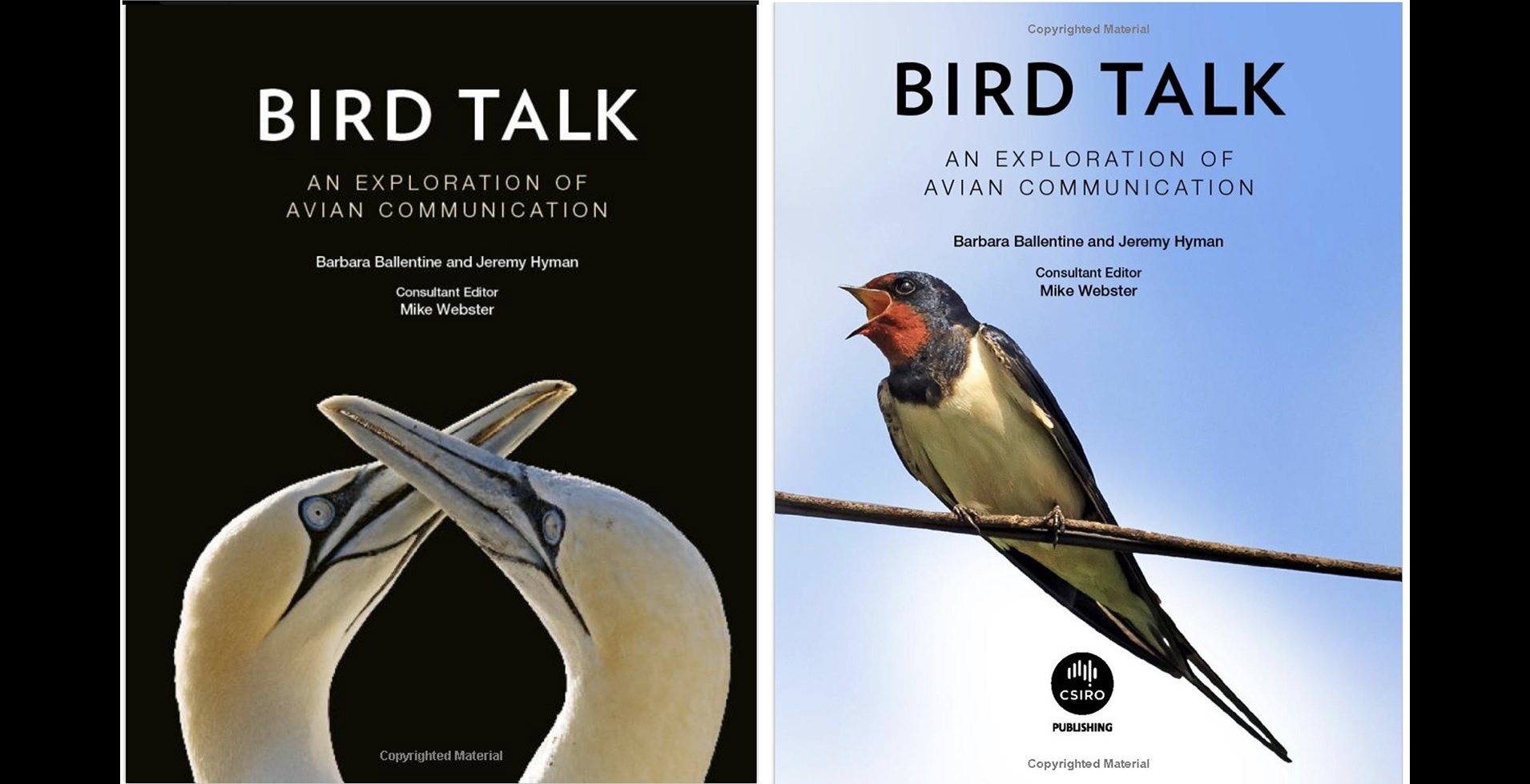 Bird Talk: An Exploration of Avian Communication–A Book Review - 10,000 ...