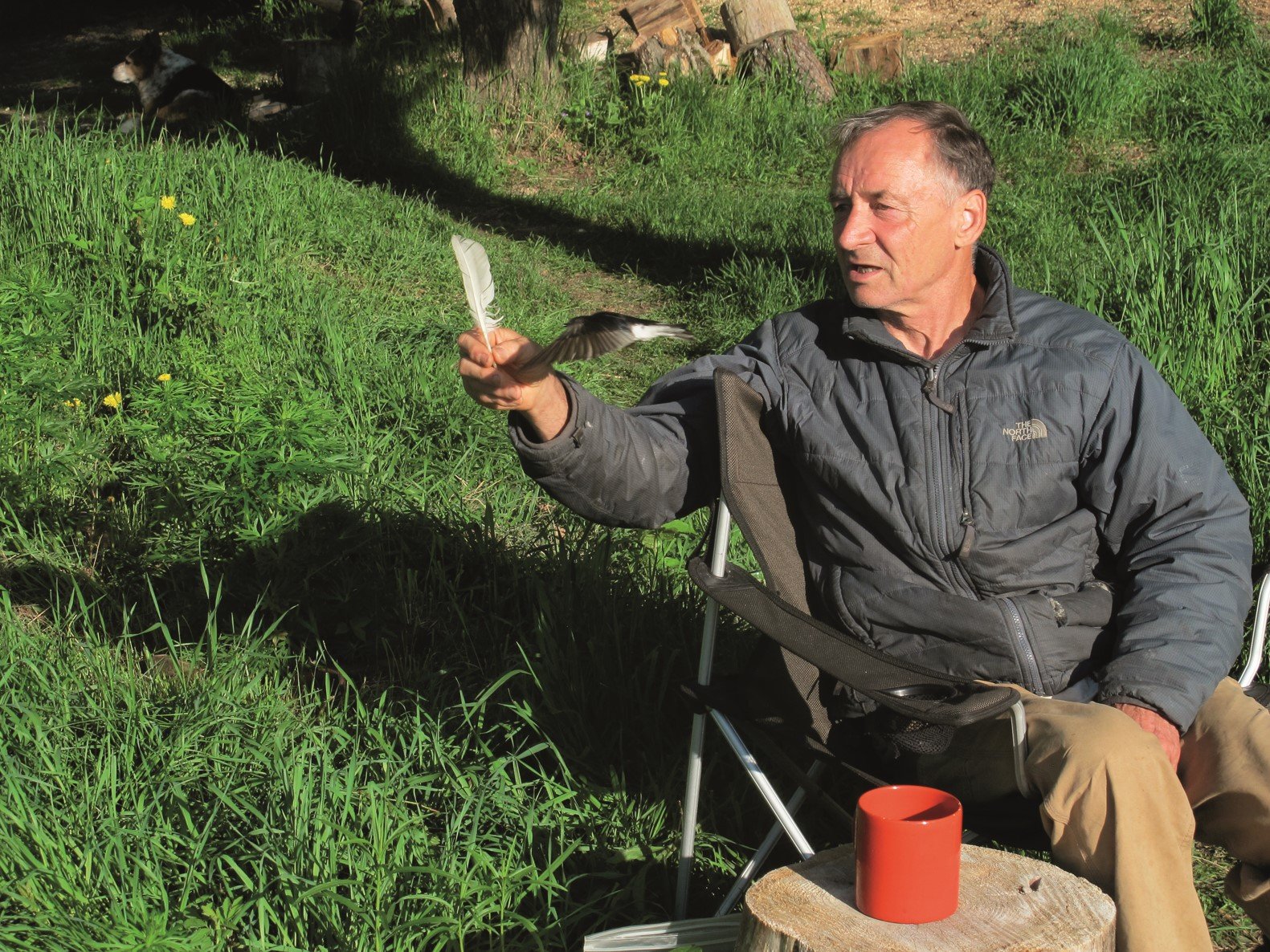 Bernd Heinrich’s new book “White Feathers” — a review - 10,000 Birds