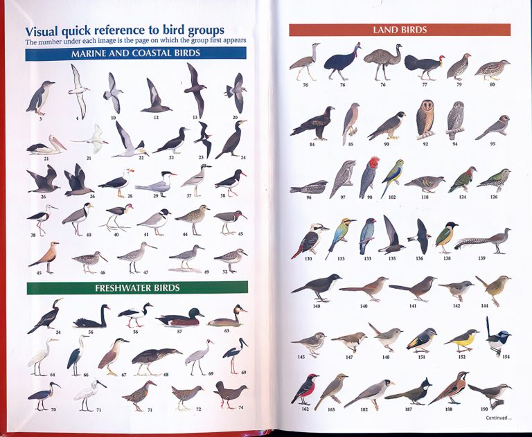 The Compact Australian Bird Guide: A Field Guide Review - 10,000 Birds