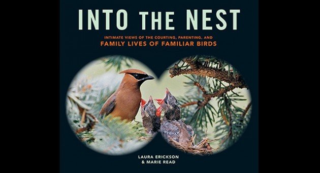 Into the Nest: A Book Review in the Time of Nesting - 10,000 Birds
