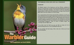The Warbler Guide Song and Call Companion: A Review and a Little More ...