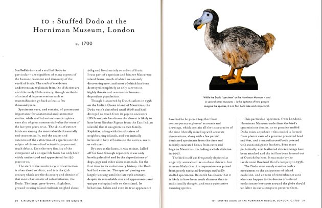 A History of Birdwatching in 100 Objects: A Review - 10,000 Birds