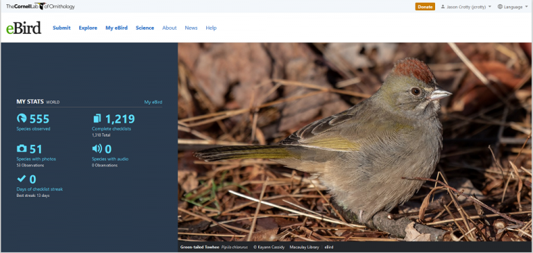 My eBird 10th Anniversary - 10,000 Birds