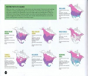 Into the Nest: A Book Review in the Time of Nesting - 10,000 Birds