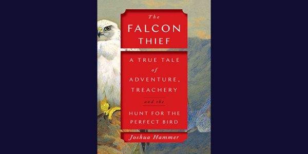 The Falcon Thief: A Book Review - 10,000 Birds