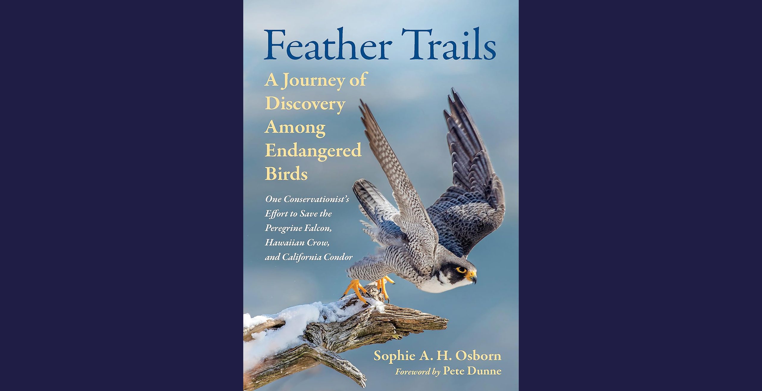 Feather Trails: A Journey of Discovery Among Endangered Birds–A Book Review - 10,000 Birds