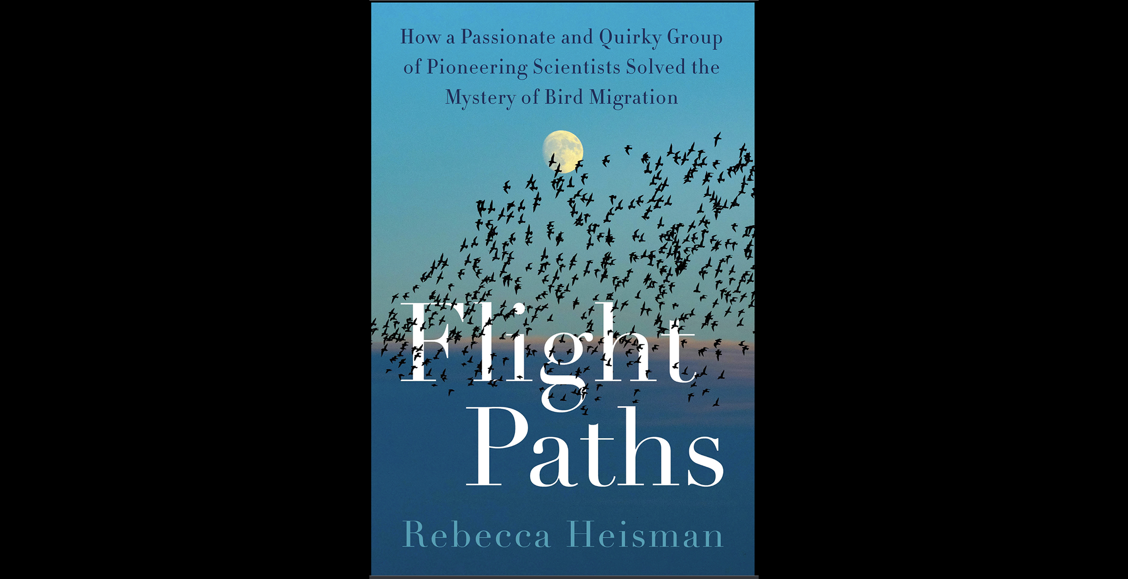 Flight Paths: A Book Review Written During Migration - 10,000 Birds