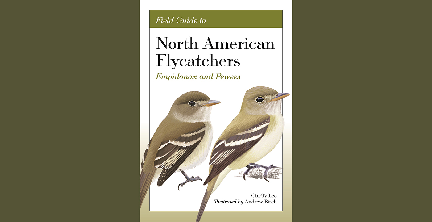 Field Guide to North American Flycatchers: Empidonax and Pewees–A Field ...