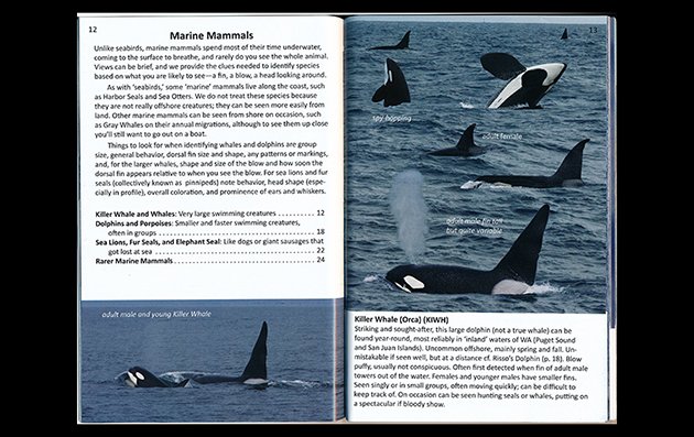 Offshore Sea Life ID Guide: West Coast–A Book Review - 10,000 Birds