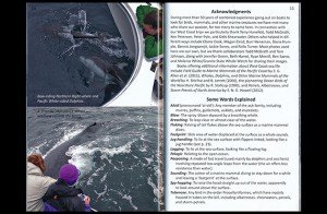 Offshore Sea Life ID Guide: West Coast–A Book Review - 10,000 Birds