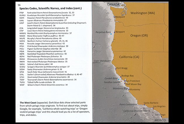 Offshore Sea Life ID Guide: West Coast–A Book Review - 10,000 Birds