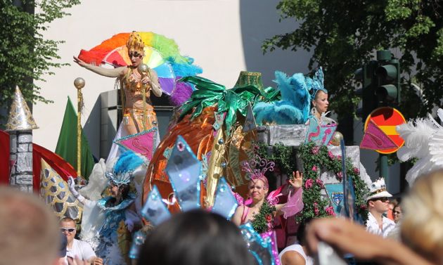 Birding Finland on the Fly - 10,000 Birds
