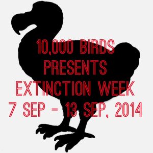 The Complete Guide To Dodo Relatives, Living And Dead - 10,000 Birds
