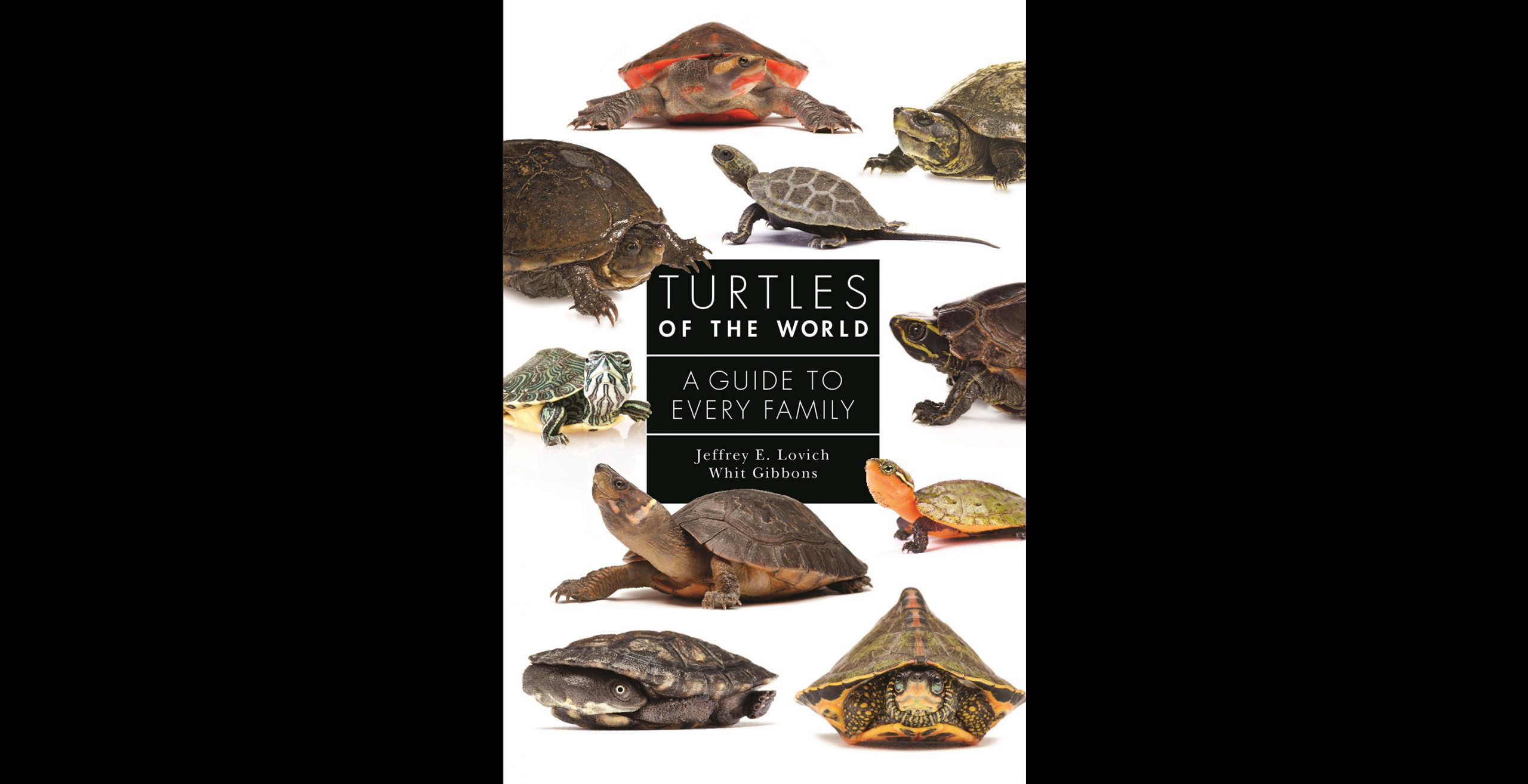 Turtles of the World: A Guide To Every Family–A Book Review by a Turtle ...